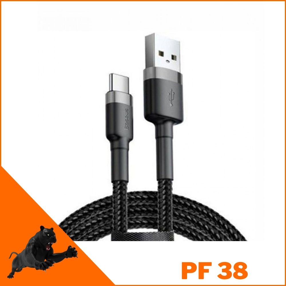 Panther Force 3A 2M Cable for Type-C